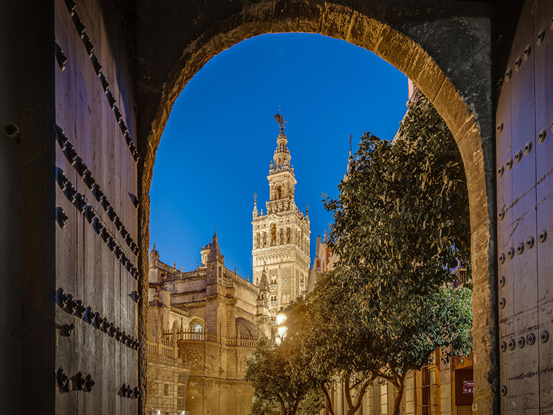 Update on Visa Acquisitions to the 2022 FIP Congress in Seville,Spain ...